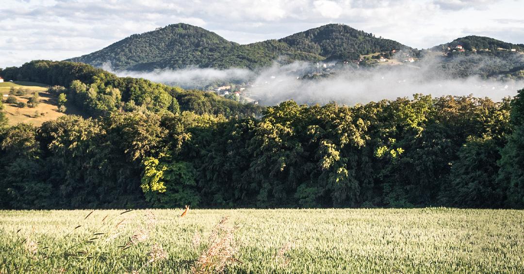 Urlaub in der Südoststeiermark | Vulkanlandhotel Legenstein