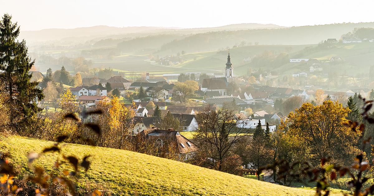 Entdecken Sie Die Magie Versteckte Juwelen An Der Boddenlandschaftfeed